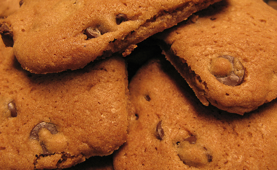 square chocolate chip cookies – mari mayborn